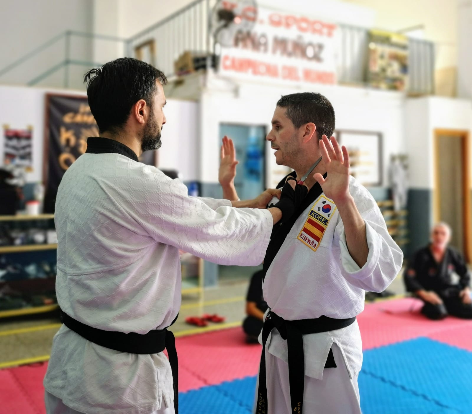 Técnicas de hapkido - Todo Defensa Personal