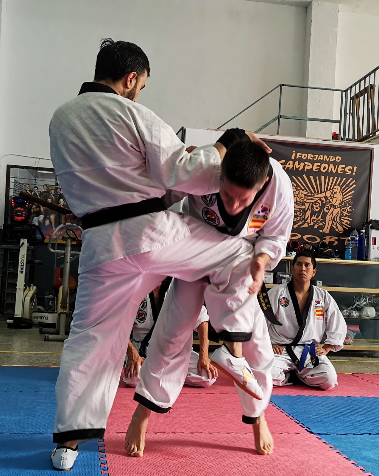 Técnicas de hapkido - Todo Defensa Personal